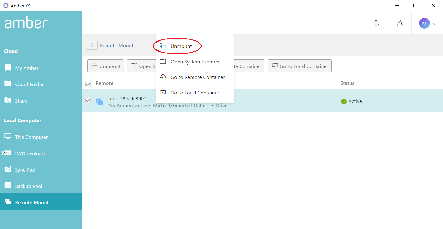 Amber iX Desktop: Remote Mount (macOS) – Amber Support